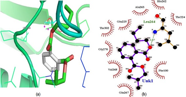 Evaluation of antimicrobial and anticancer properties of finger millet ...
